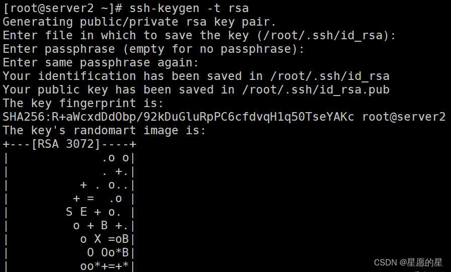 SSH配置：Linux主机间公钥验证实现免密登录-CSDN博客