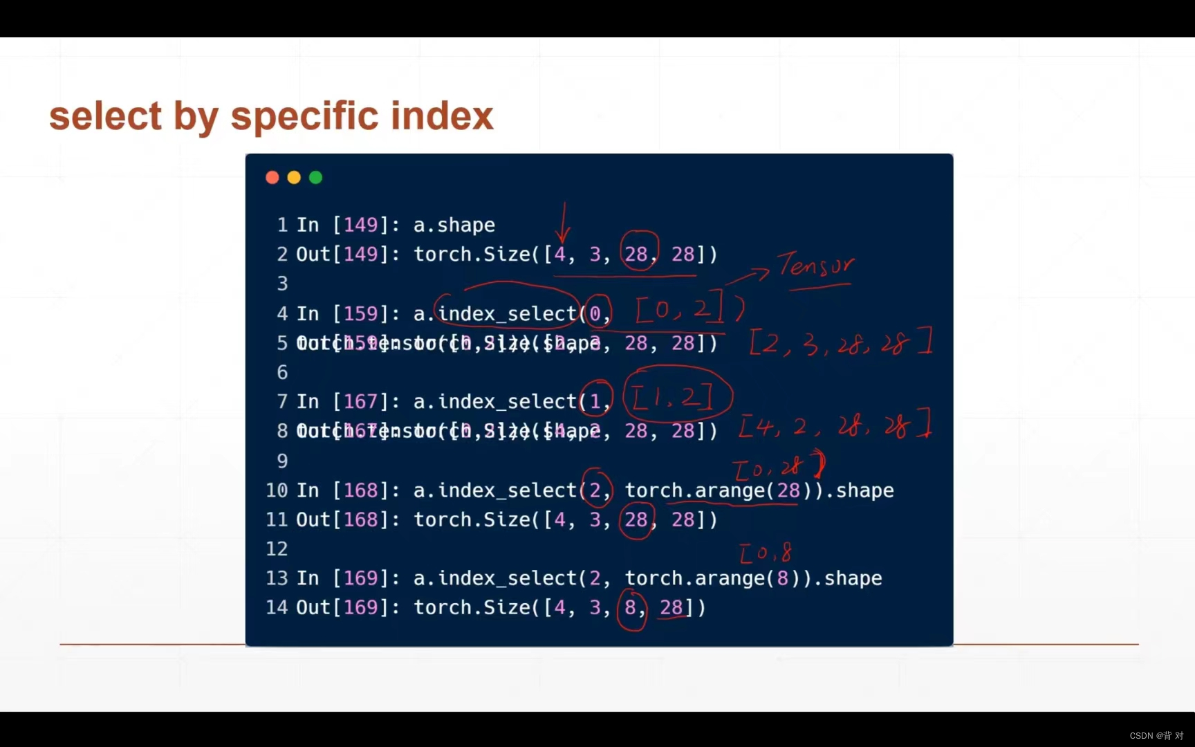 我的第一周pytorch学习笔记_torch.randn(3,4)参数的意义-CSDN博客