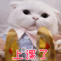 Java数据库连接池：C3P0,Druid,HikariCP与DBCP的实战比较-CSDN博客