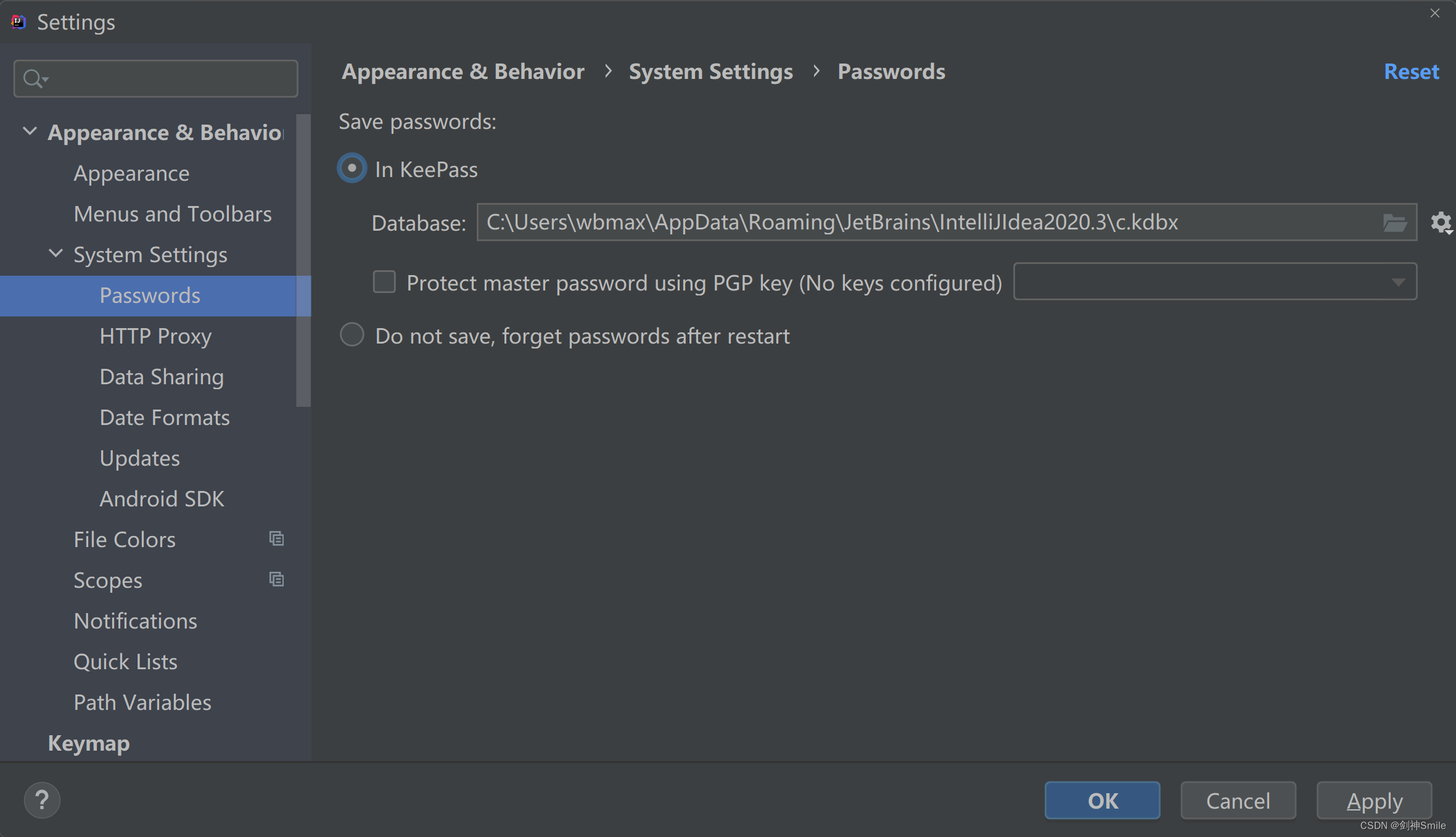 IntelliJ IDEA 重启丢失 GitHub token（Missing access token）的解决办法_idea gitlab invald access token-CSDN博客