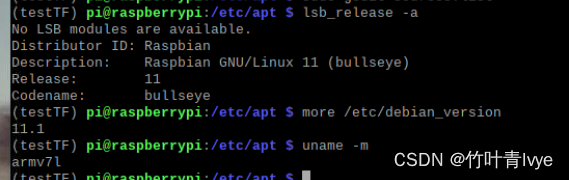 树莓派4B安装pytorch_树莓派4b pytorch-CSDN博客