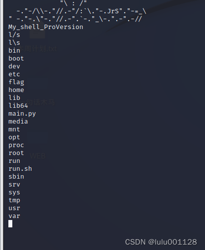 每周练习&学习（一）1.1--nc的使用与系统命令执行_ctf nc-CSDN博客