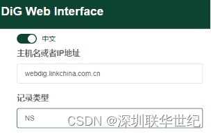 在线dig命令：DNS查询工具详解-CSDN博客
