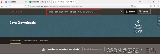 最新[新手入门教程] JDK8u381的下载安装以及环境变量的配置-CSDN博客