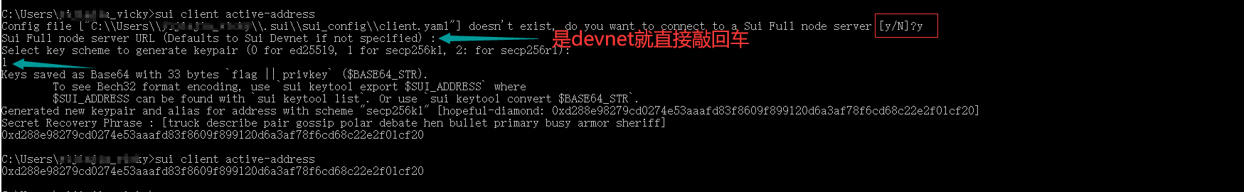 2.轻松入门Sui Move: 搭建开发环境_sui move 环境配置-CSDN博客