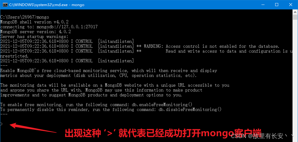 MongoDB，4.0以上最新版本超详细安装教程(附用户图形界面下载教程)_mongodb高级版下载-CSDN博客