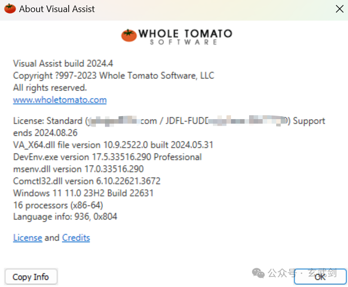 vs利器Visual Assist X的十大顶级用法及下载注册_vs助手-CSDN博客