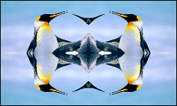 WPF中的ImageBrush常用方式_wpf imagebrush 高度80%-CSDN博客