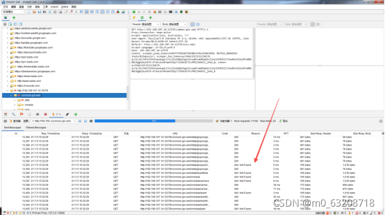 OWASP ZAP实践后的自写使用教程_zap生成某一个接口得分析报告-CSDN博客