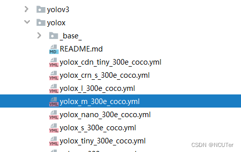 利用PaddleDetection 训练自定义COCO数据集进行目标检测_paddledetection 训练coco数据集-CSDN博客