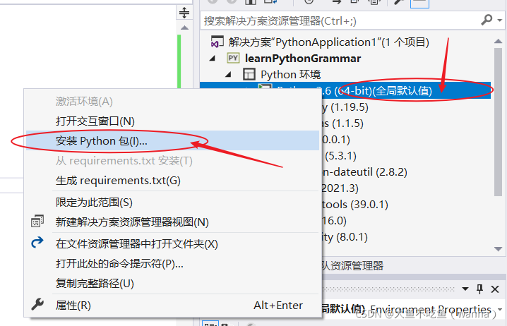 03 如何在visual studio2017内添加python外部包_vsstudio如何增加python的包-CSDN博客