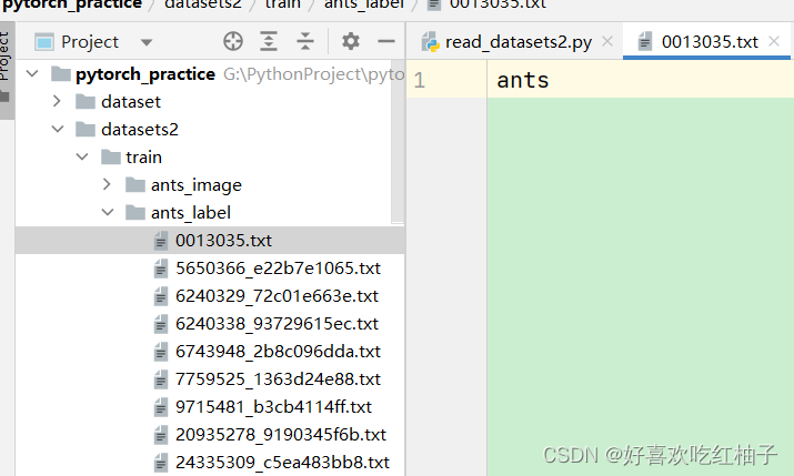 pytorch初学笔记（一）：如何加载数据和Dataset实战_python dataset-CSDN博客