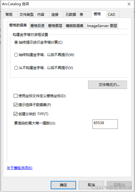ArcCatalog栅格数据显示_arccatalog自定义命令添加-CSDN博客