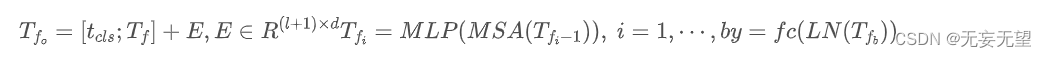T2T VIT 学习笔记（附代码）_t2t-vit-CSDN博客