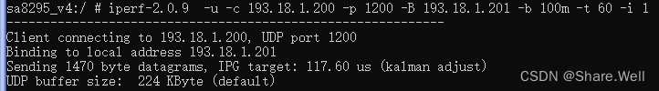 iperf2工具的使用_iperf2 jitter-CSDN博客