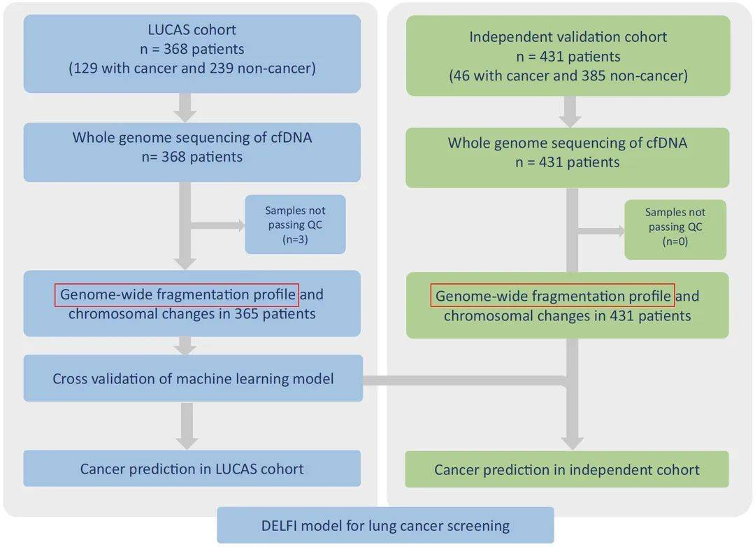 跟着NC学cfDNA全基因组片段化丰度谱分析_cfdna测序数据分析-CSDN博客