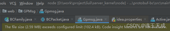 解决idea爆问题： The file size exceeds configured limit . Code insight features are not available._the ...