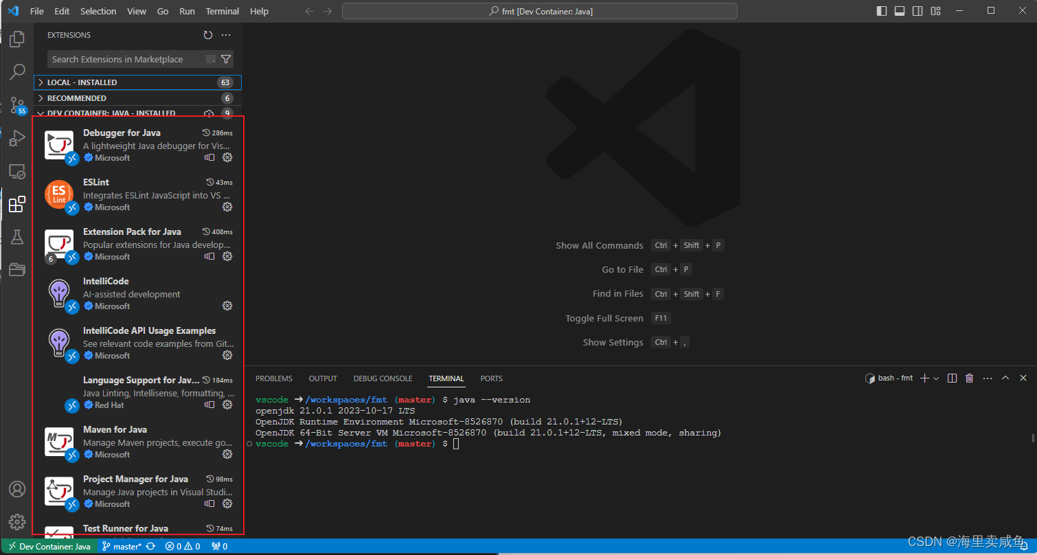 基于VSCode+Clangd+lldb搭建Linux C++环境_vscode lldb-CSDN博客