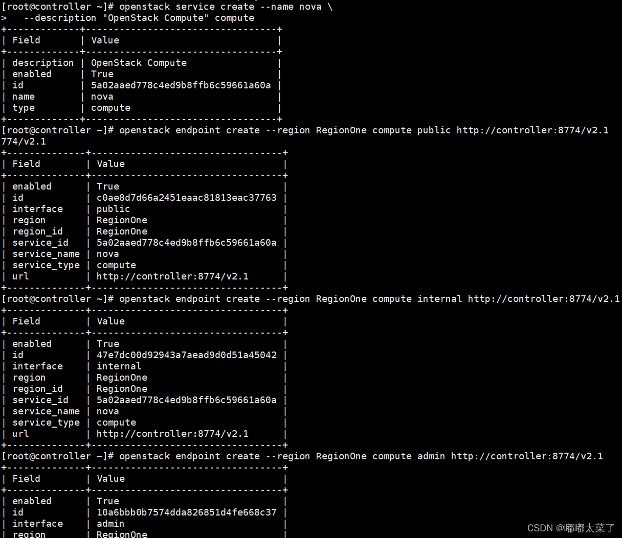 【Openstack Train安装】九、Nova安装-CSDN博客