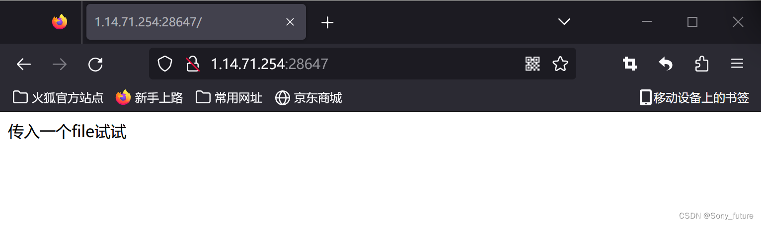 SWPUCTF 2021 新生赛]include-CSDN博客