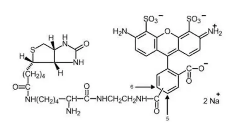 Alexa Fluor488 Biotin，AF488 Biotin，生物素Alexa Fluor488，可用于标记蛋白质、抗体或其他生物分子-CSDN博客