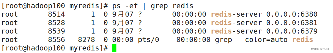 Fatal error, can‘t open config file ‘/myredis/redis.conf‘: No such file or directory_vcs couldn ...