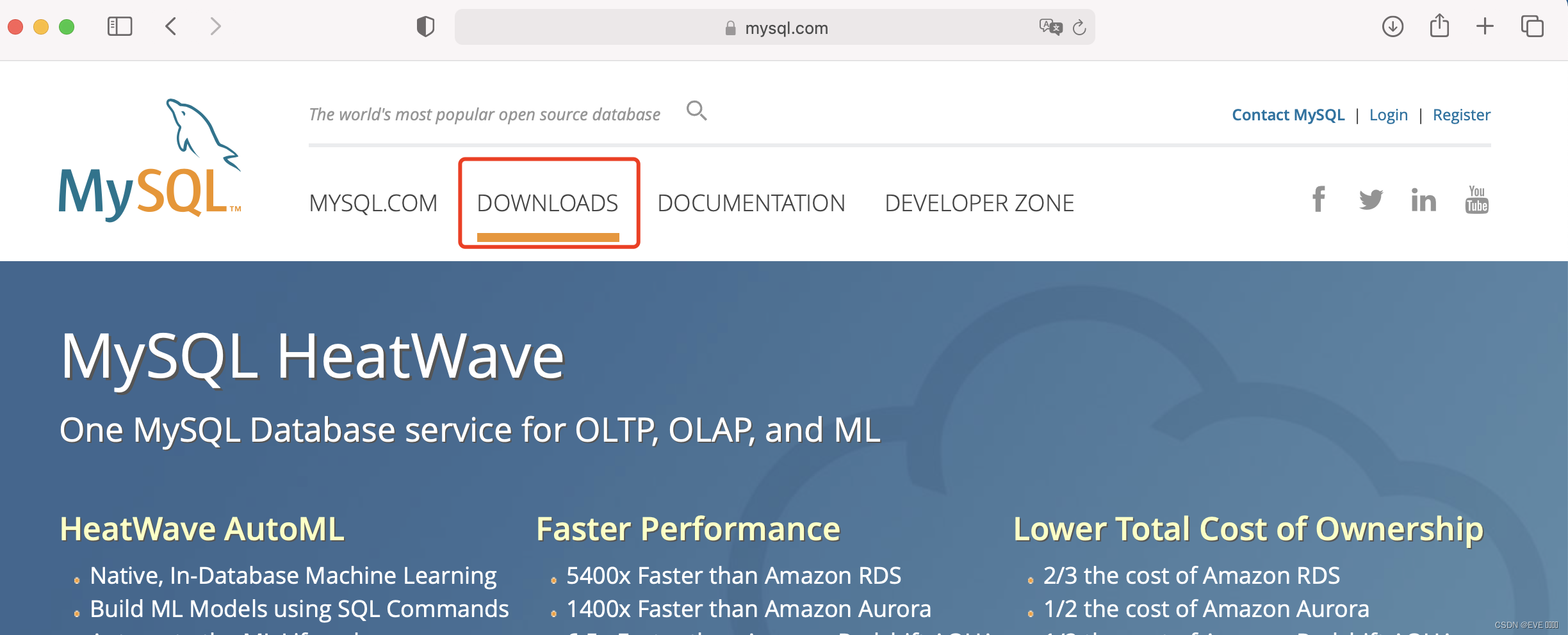 Mac M1安装MySQL-CSDN博客
