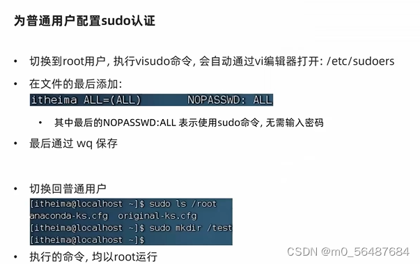 Linux day5-CSDN博客