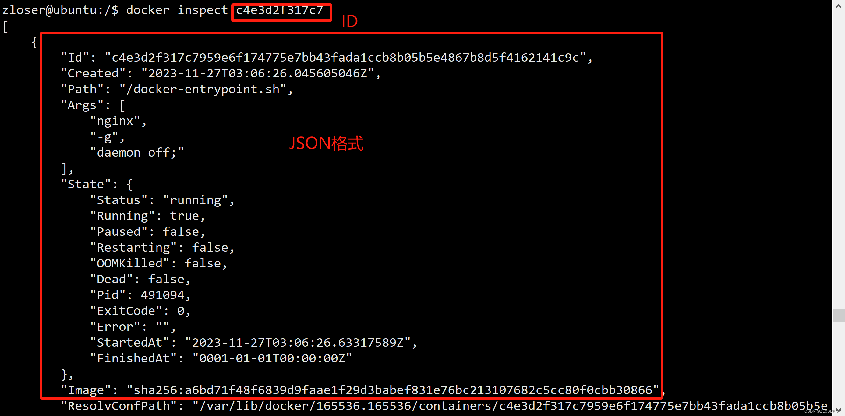 docker容器运维操作命令_docker的exec-opts-CSDN博客