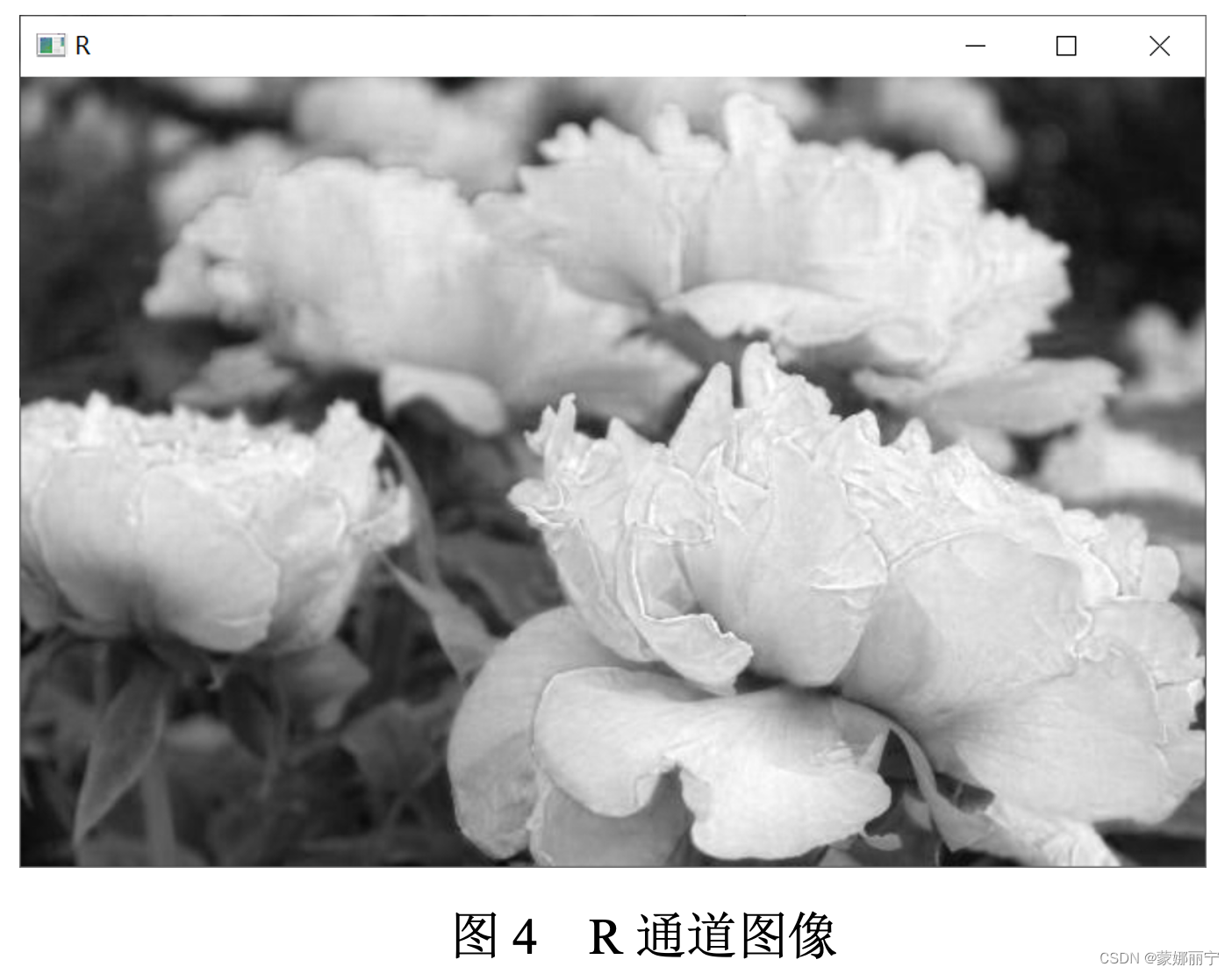 【计算机视觉】opencv 4高级编程与项目实战（python版）【4】：通道详解opencv4详解基于python Csdn博客
