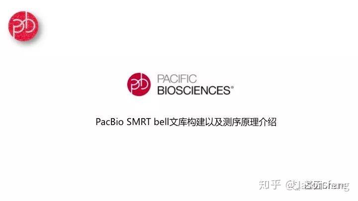 Pacbio测序原理以及SMRT bell文库构建流程简述-CSDN博客