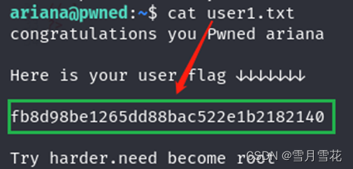 vulnhub靶机的Pwned解题分享_vulnhub靶场pwn题-CSDN博客