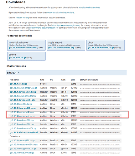 Raspberry Pi 安装 go 后提示错误 Exec format error_cannot execute binary file: exec format error-CSDN博客