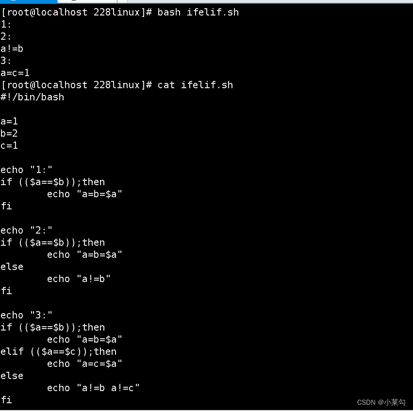Shell编程基础：变量管理、数据类型、算术运算与流程控制,-CSDN博客