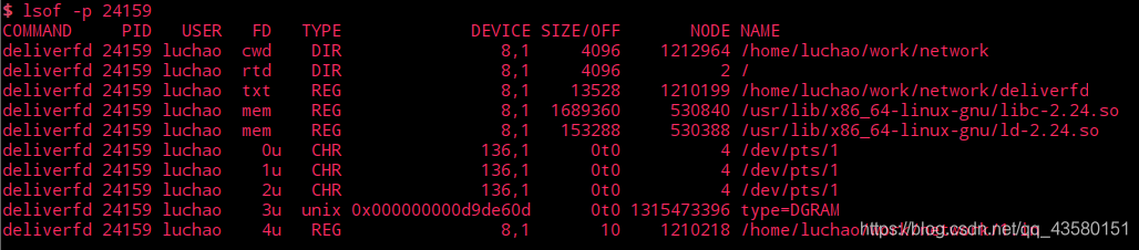 使用UNIX域Socket传递文件描述符_sendfd-CSDN博客
