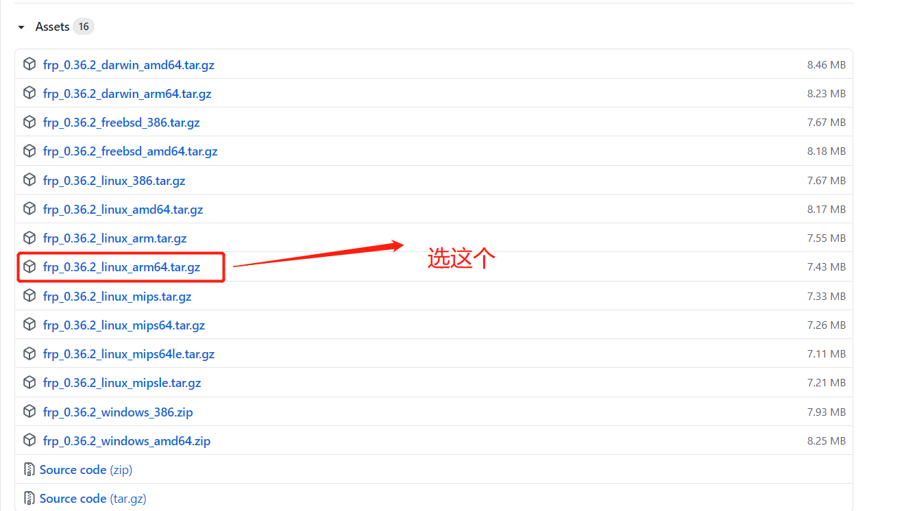 服务器安装frp时报错frps Cannot Execute Binary File Exec Format Error Csdn博客