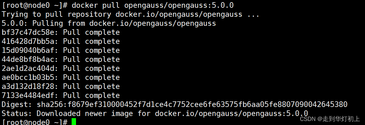 openGauss（2）：安装部署 - 单机_opengauss安装部署流程-CSDN博客