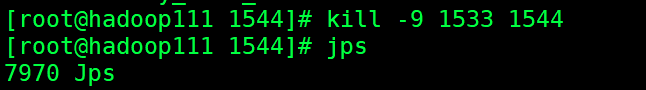Linux命令行，使用kill -9 杀不掉进程的解决办法_kill -9 杀不死进程-CSDN博客
