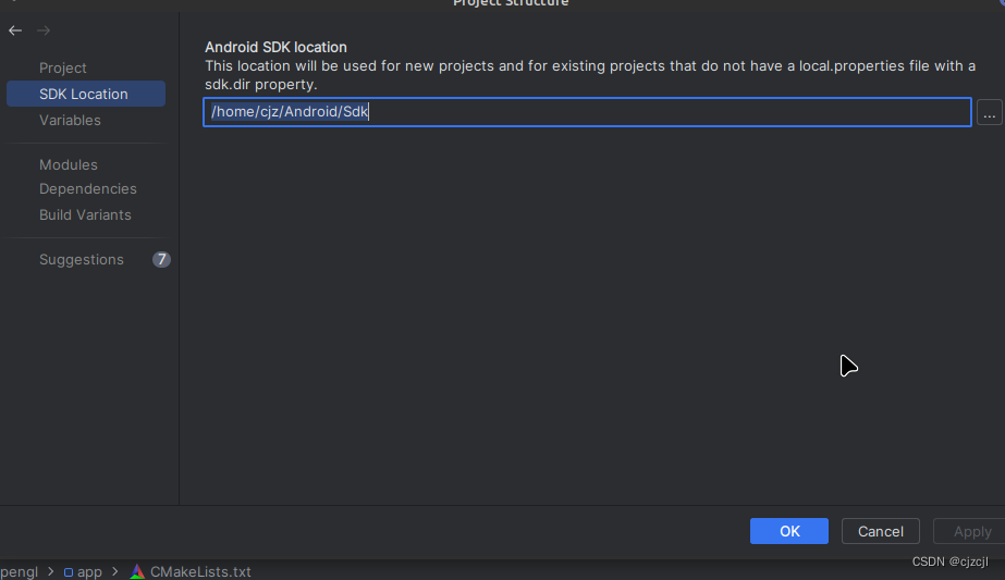 Android Studio Jellyfish版本修改project使用特定jdk版本的步骤-CSDN博客