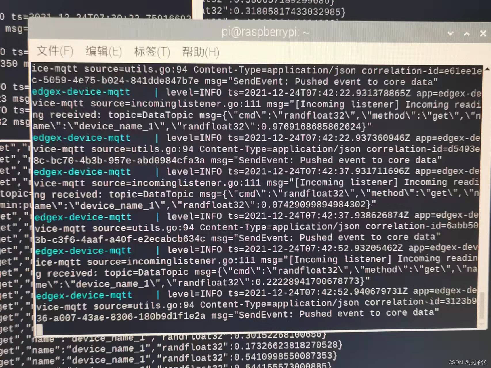 树莓派4B+EdgeX+MQTT的填坑之旅_edgex南北打通-CSDN博客