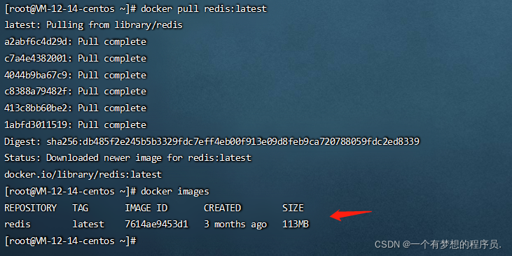 linux下使用docker安装redis_linux_CodingCove-魔乐社区
