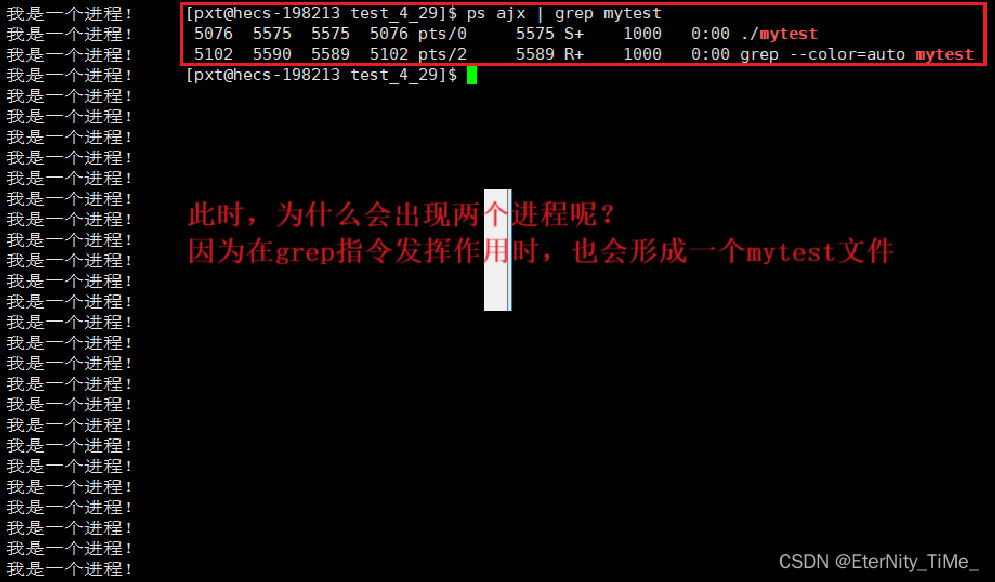 Linux进程——Linux进程的概念(PCB的理解)_linux pcb-CSDN博客