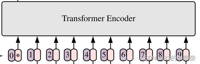 Vision Transformer_mlp head-CSDN博客