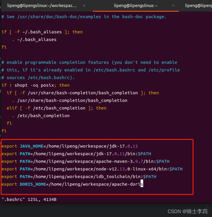 doris FE编译启动流程_doris fe启动-CSDN博客