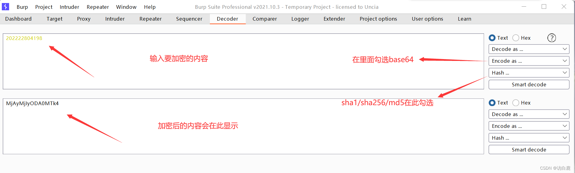 kali/windows/burpsuite/Python下计算md5，sha1，sha256，base64的值_kali md5解密-CSDN博客