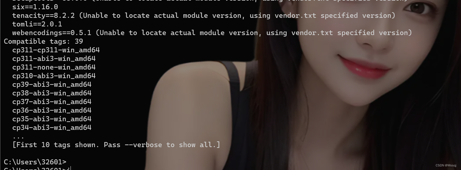 关于torchvision和torch适配问题及解决办法userwarning Failed To Load Image Python Extension Csdn博客
