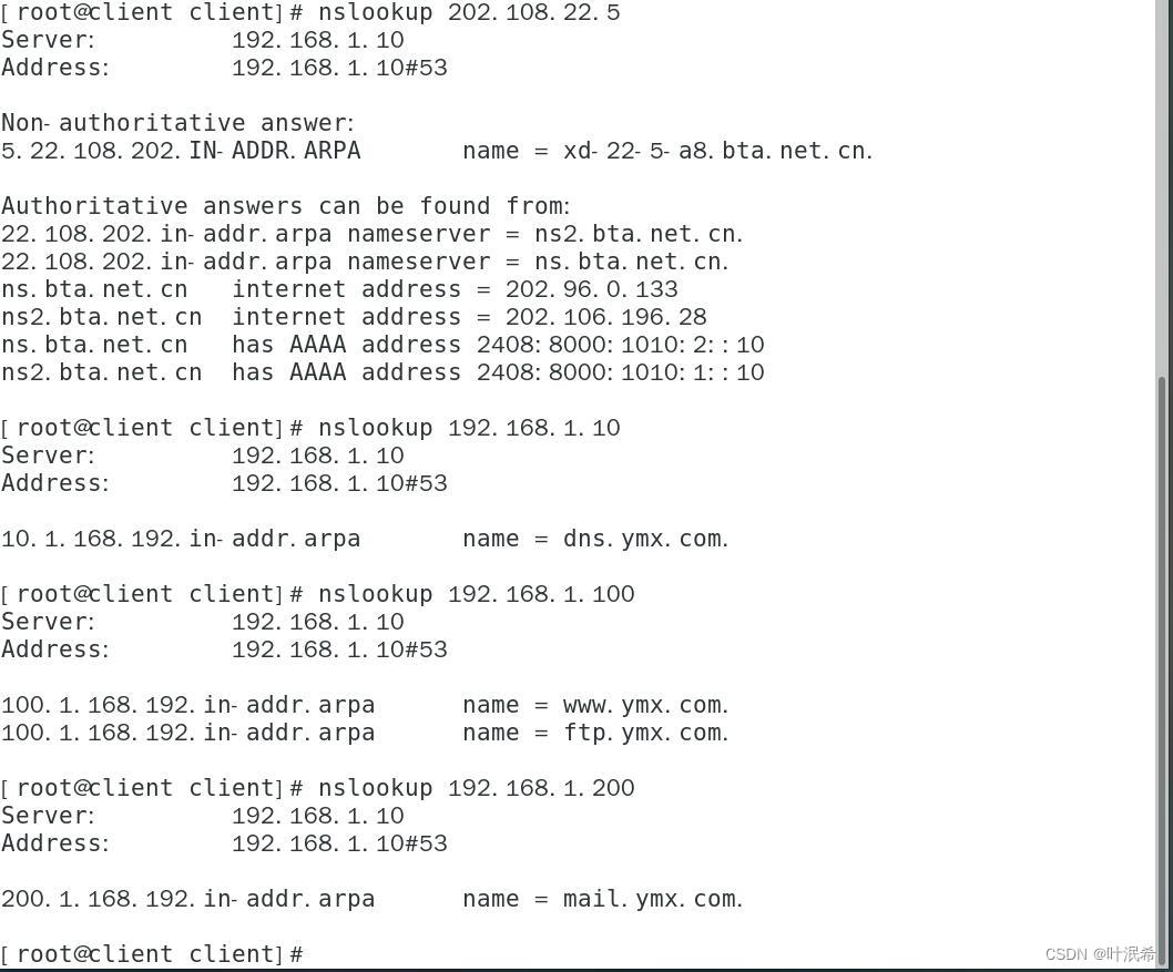 第五章 Centos 7 Linux配置dns 实训任务：部署DNS服务器_配置dns服务实训-CSDN博客