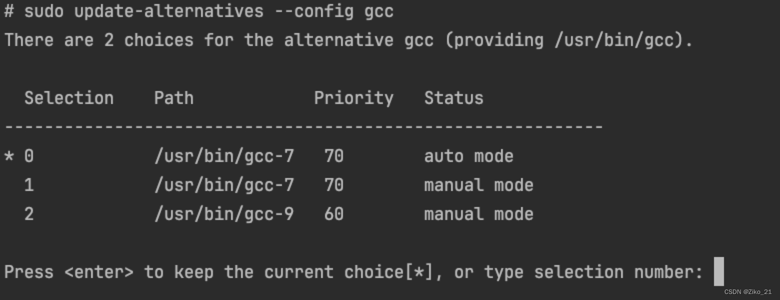 安装多个版本gcc并实现快捷切换_切换gcc版本-CSDN博客