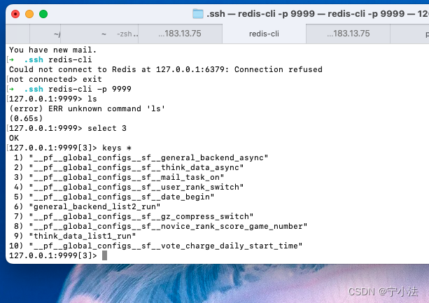 SSH Tunneling隧道 - 探究与实践_ssh tunnel 连接redis-CSDN博客