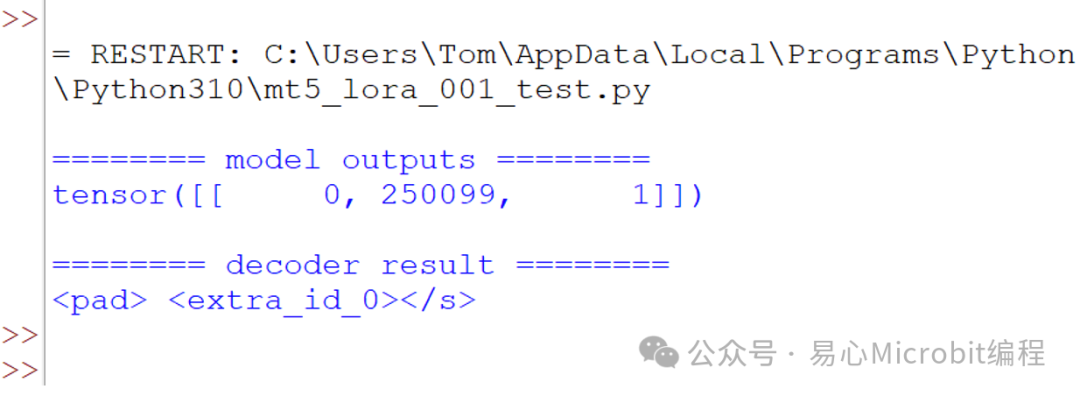 LoRA微调三步骤：以大语言模型MT5为例_mt5-small-CSDN博客